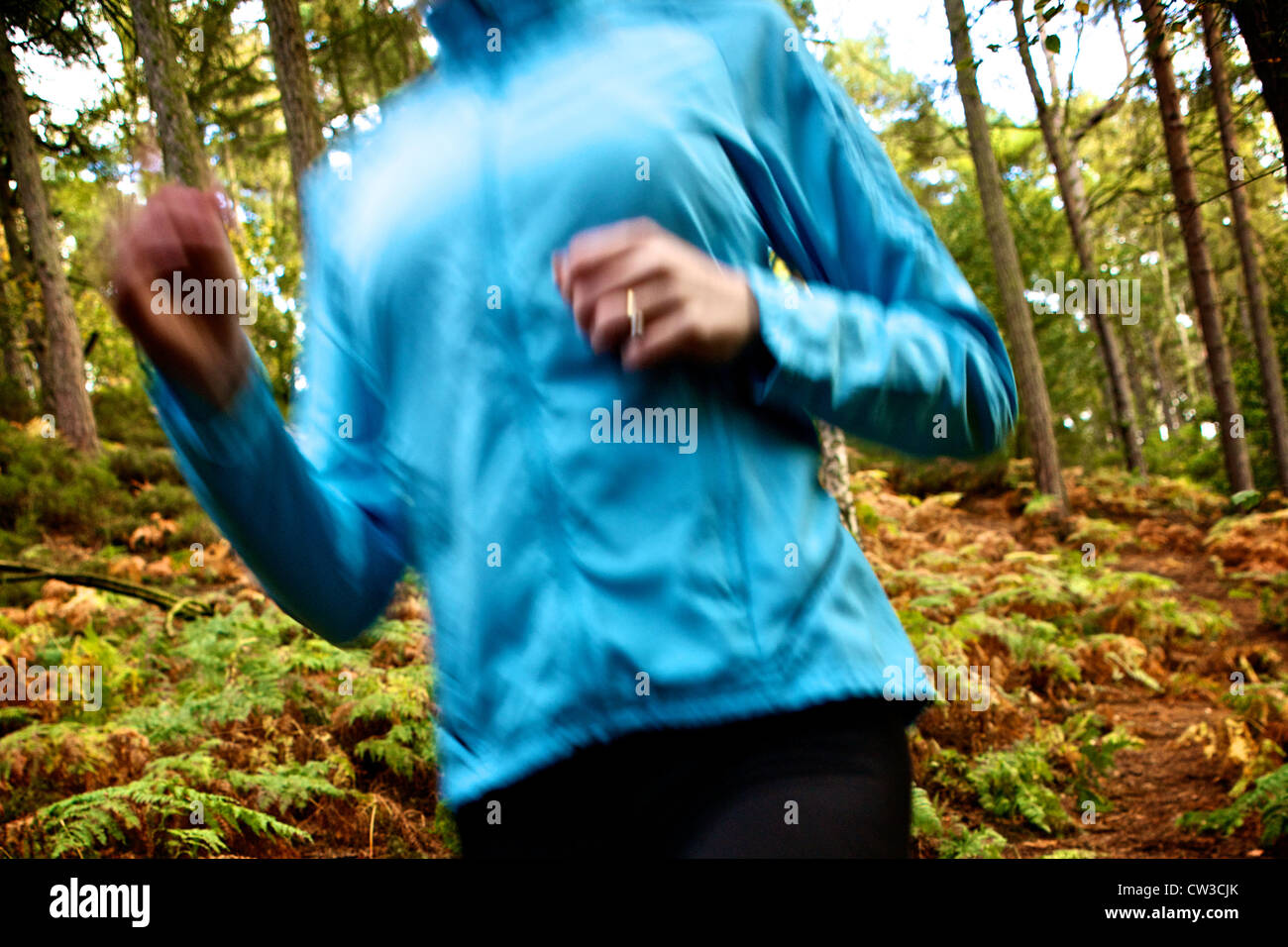 Lickey hills country park birmingham uk hi-res stock photography and ...