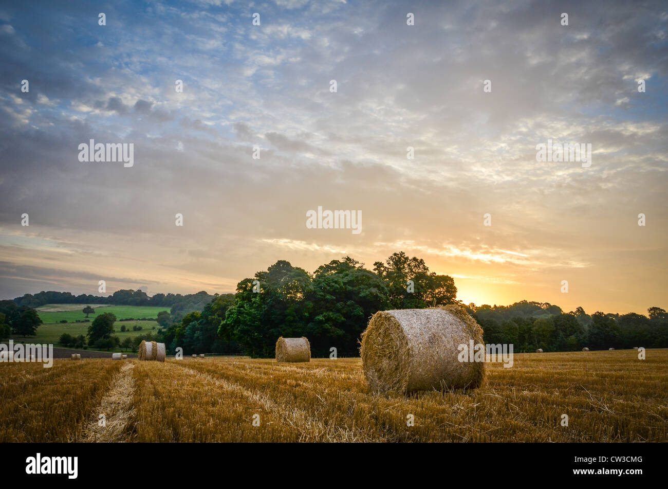 Dawn sunshine over English countryside Stock Photo - Alamy