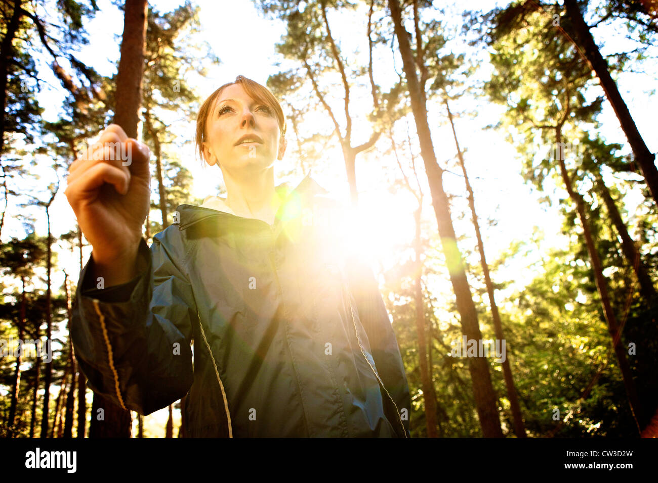 Run forest hi-res stock photography and images - Alamy