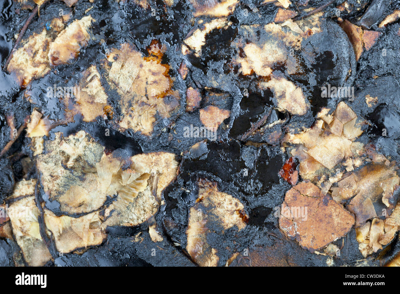 Tamarind paste, close up Stock Photo - Alamy