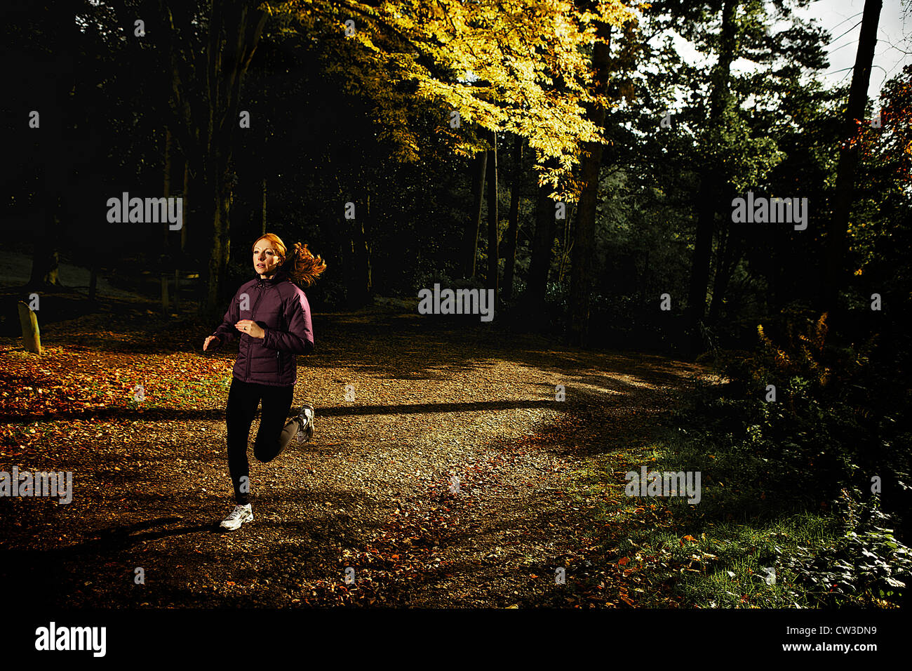 cross country run through forest Stock Photo - Alamy