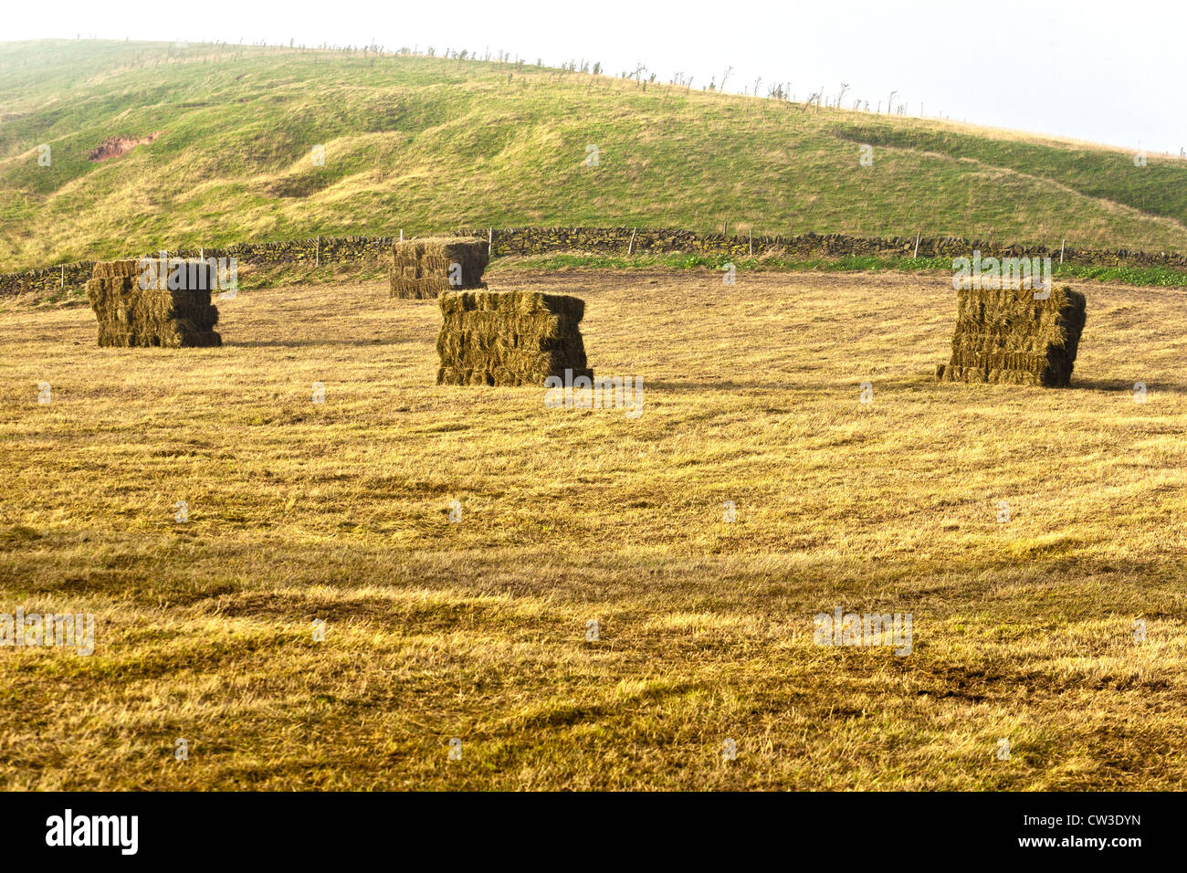 Old Fashioned Hay Bales Stock Photo - Alamy