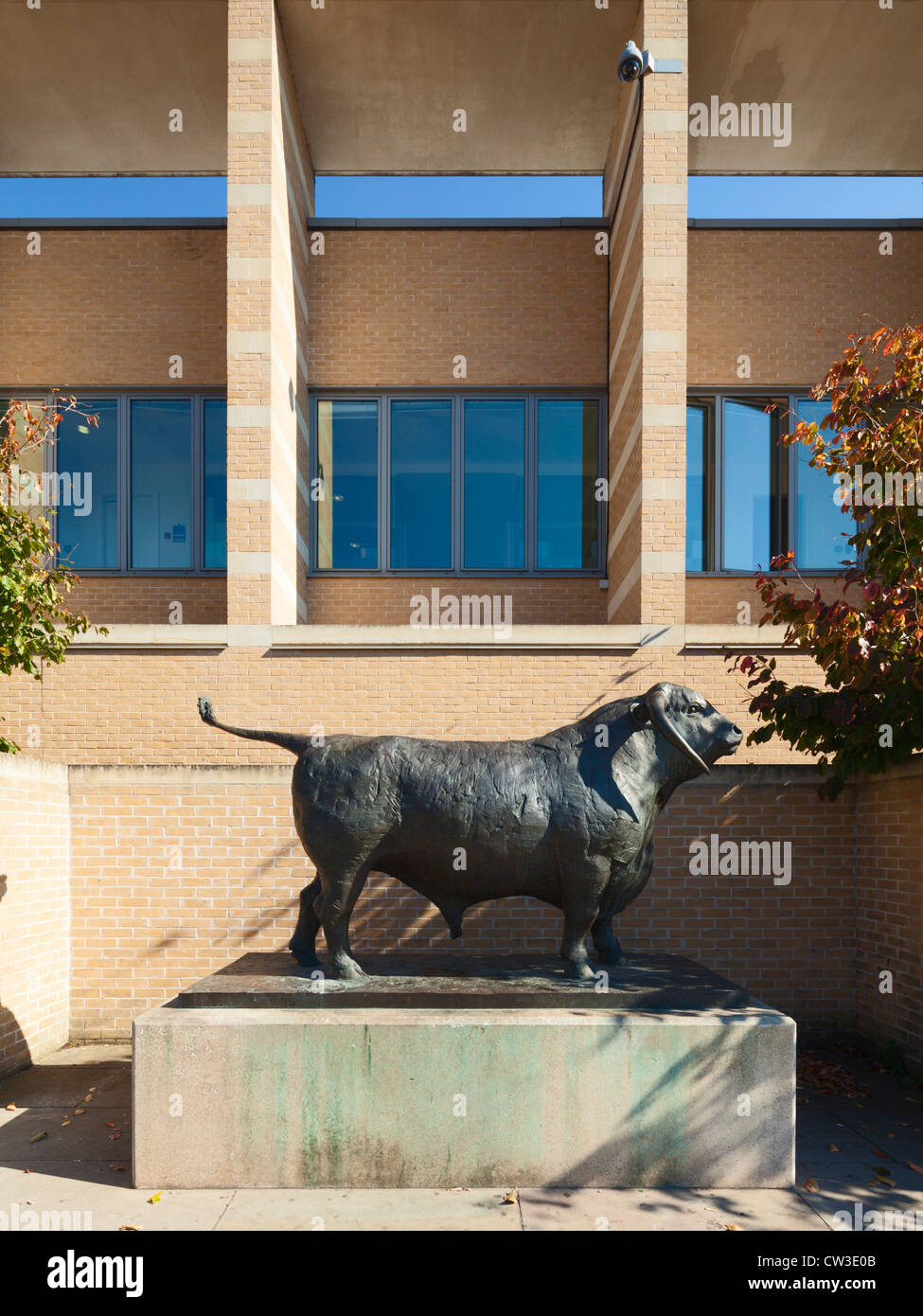 Ox sculpture Oxford Symbol Stock Photo - Alamy
