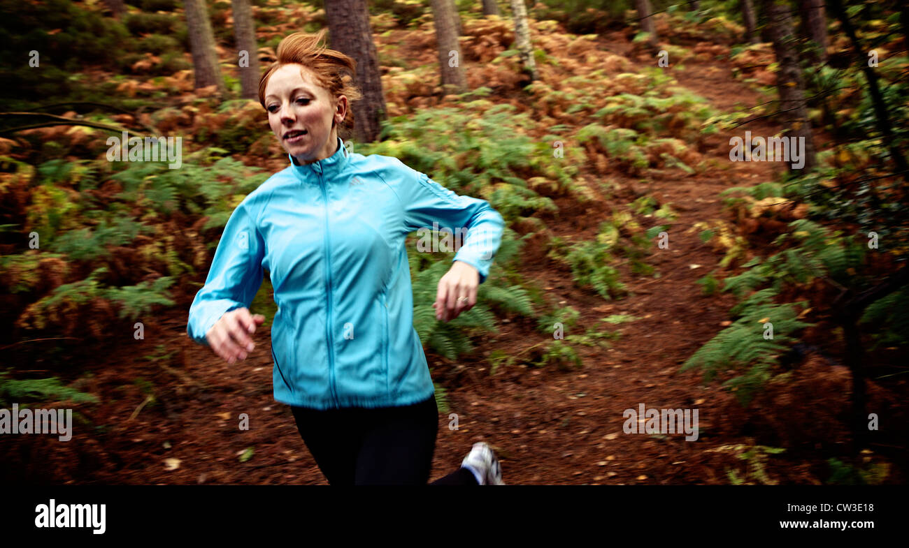 cross country run through forest Stock Photo - Alamy
