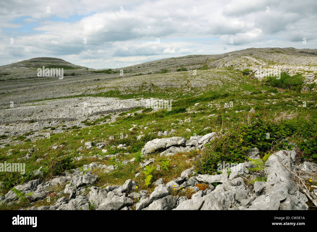 Limestone pavement mountains, Mullaghmore, The Burren National Park, Co ...