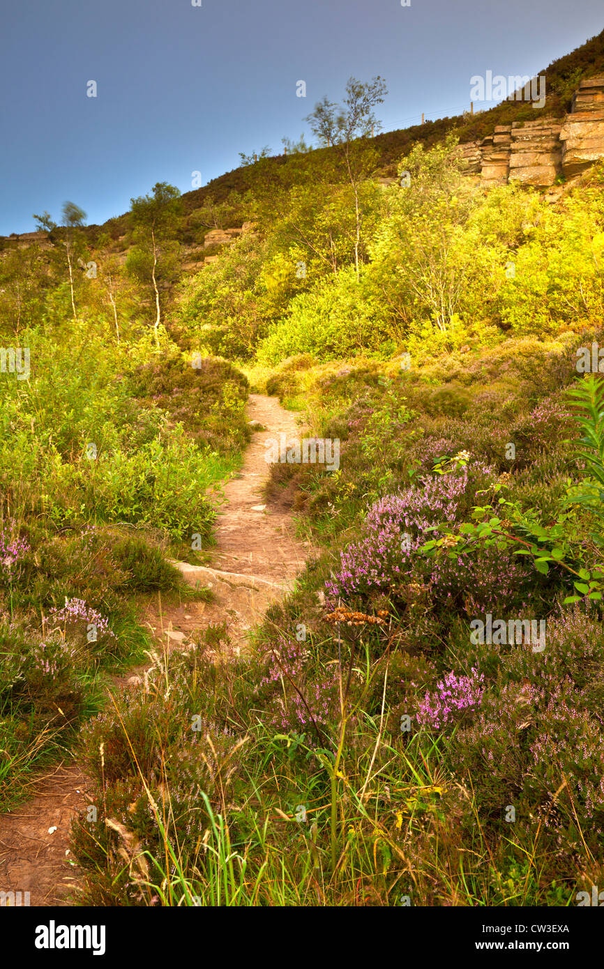 Walkers on popular footpath hi-res stock photography and images - Alamy