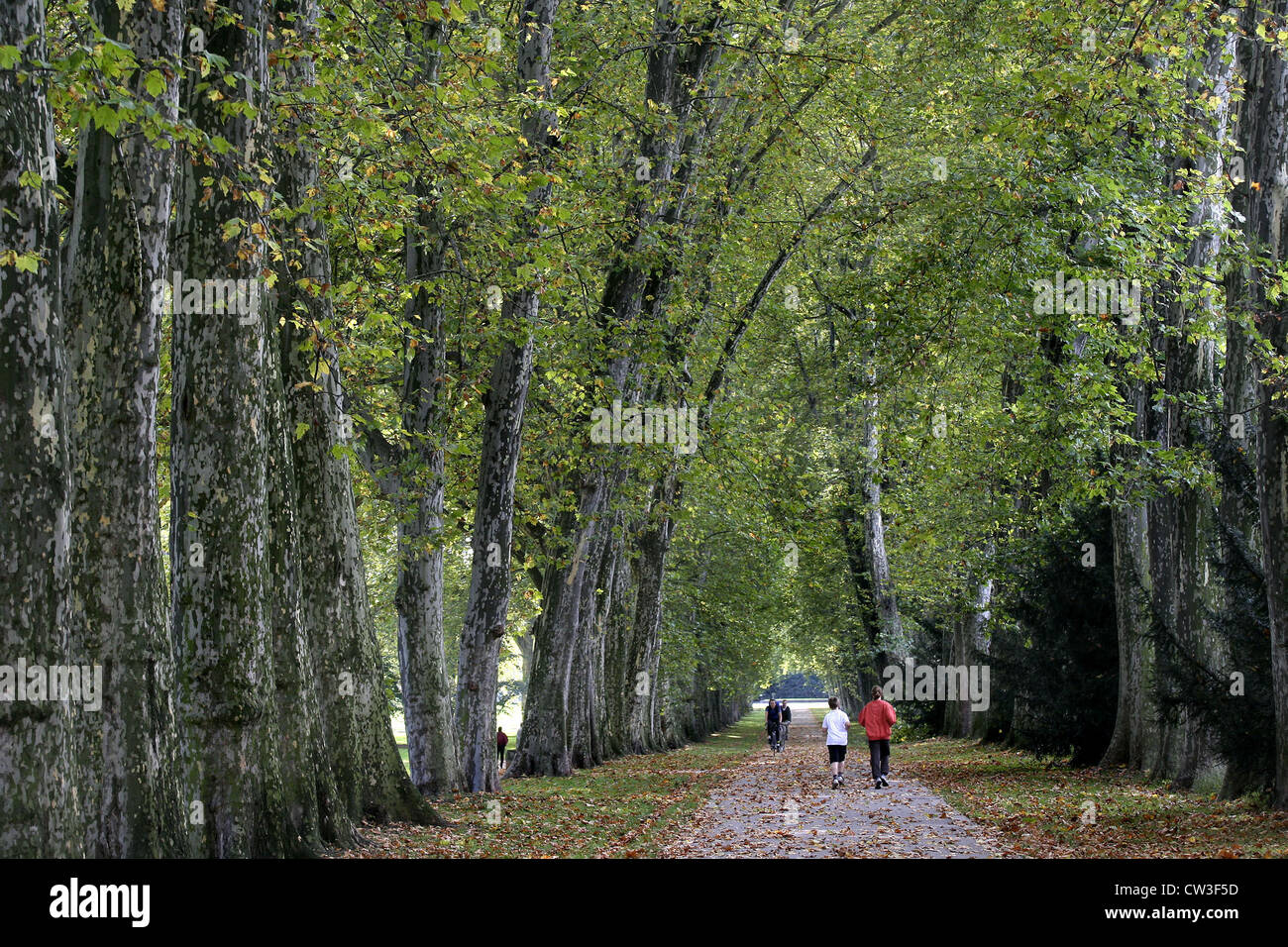 Stuttgart, people in Rosensteinpark Stock Photo - Alamy