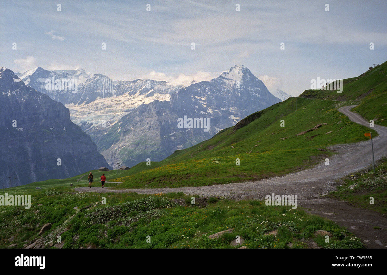 Switzerland. Walking from First to Grosse Scheidegg looking towards the ...