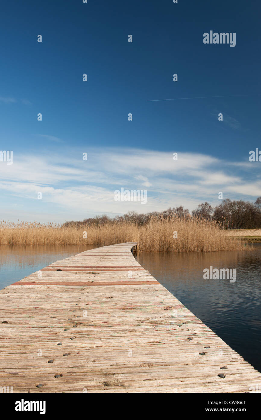 Wooden platforms in nature water lake Stock Photo - Alamy