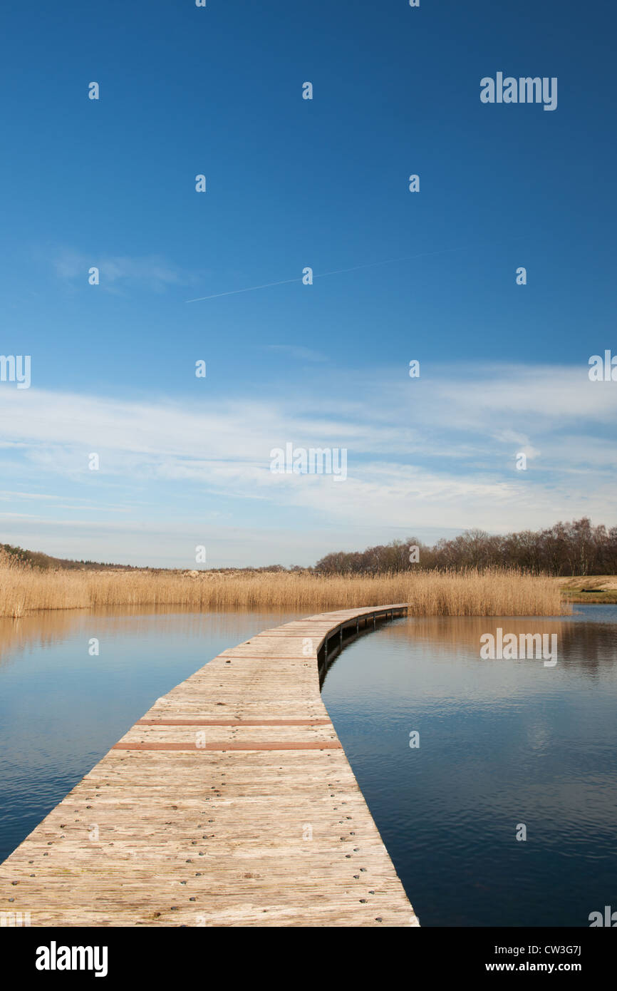 Wooden platforms in nature water lake Stock Photo - Alamy
