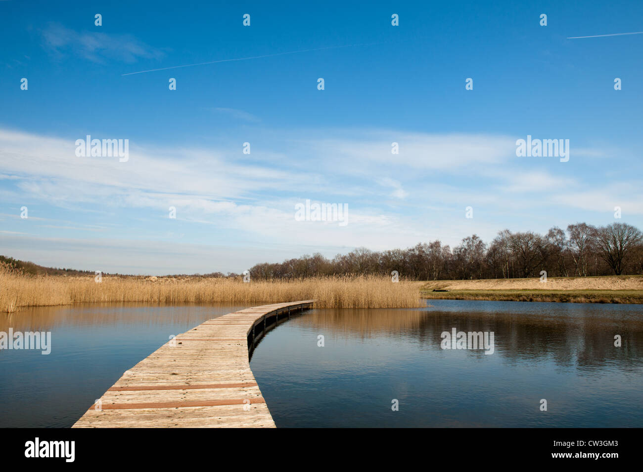 Wooden platforms in nature water lake Stock Photo - Alamy