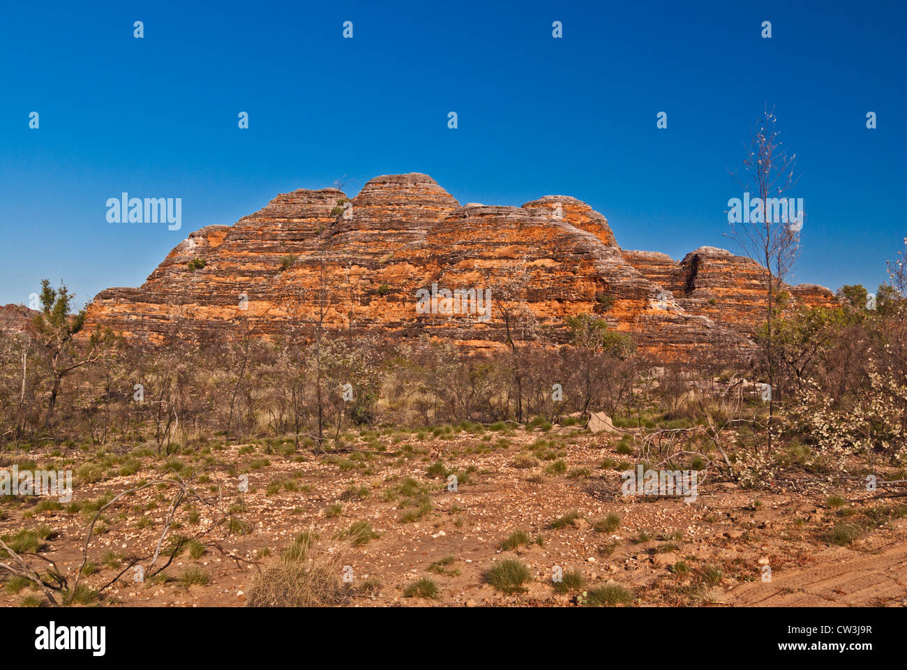 BUNGLE BUNGLE RANGE, PURNULULU NATIONAL PARK, WESTERN AUSTRALIA ...