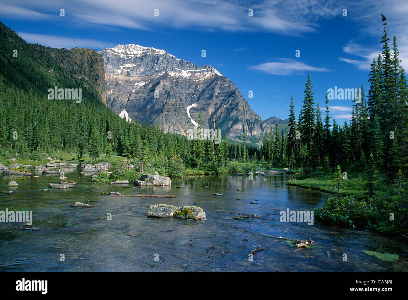 Disappointment creek, Banf National Park, Canada. Near Morain Lake ...