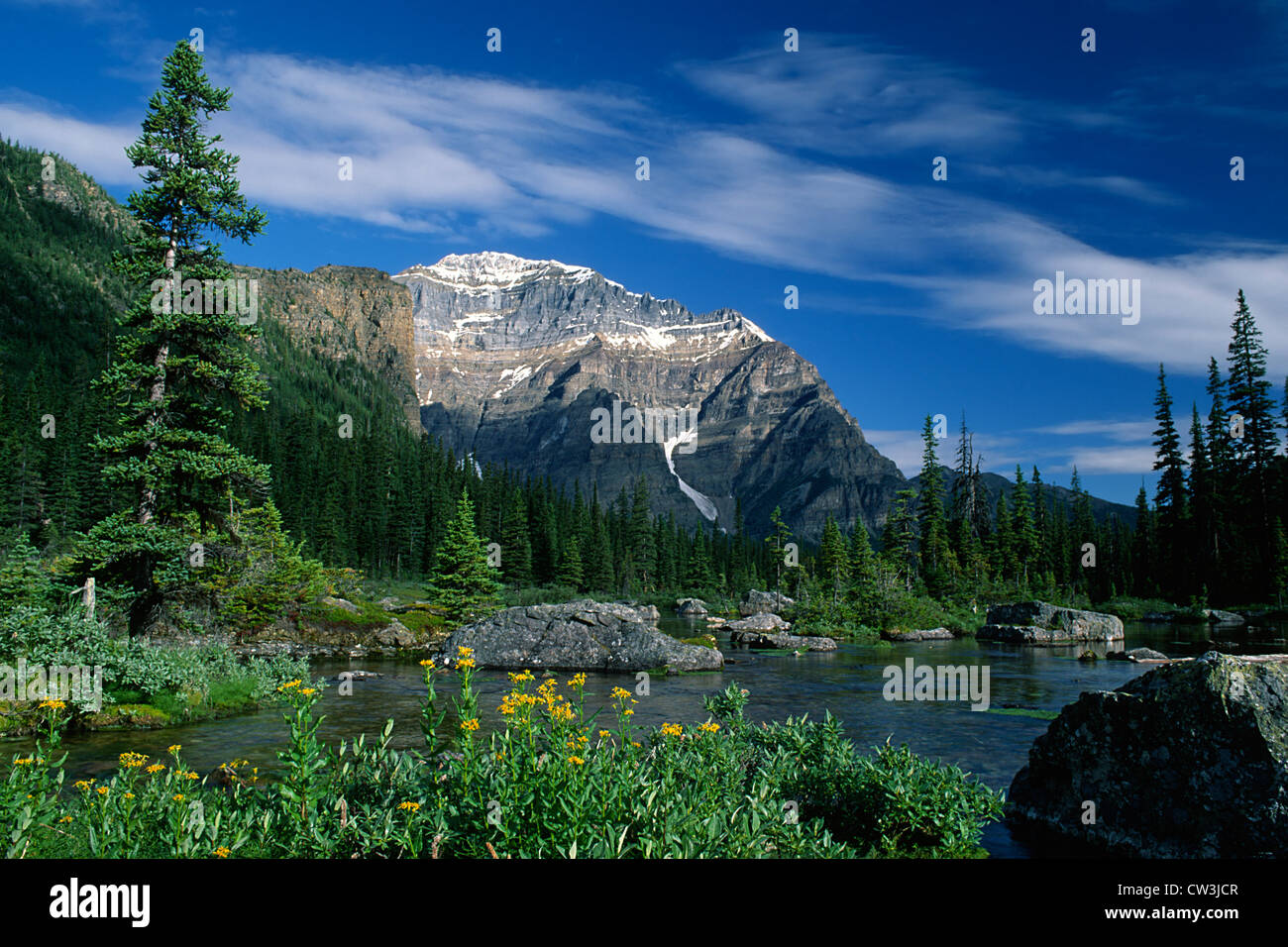 Disappointment creek, Banf National Park, Canada. Near Morain Lake ...