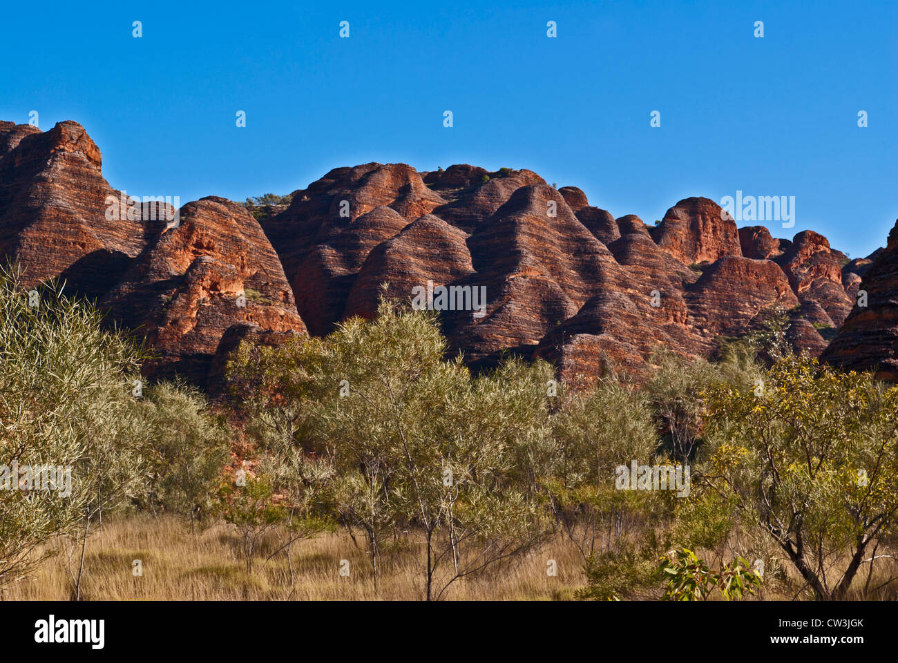 BUNGLE BUNGLE RANGE, PURNULULU NATIONAL PARK, WESTERN AUSTRALIA ...