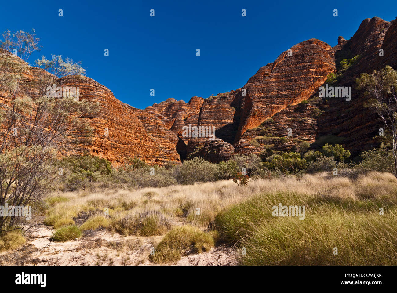 BUNGLE BUNGLE RANGE, PURNULULU NATIONAL PARK, WESTERN AUSTRALIA ...