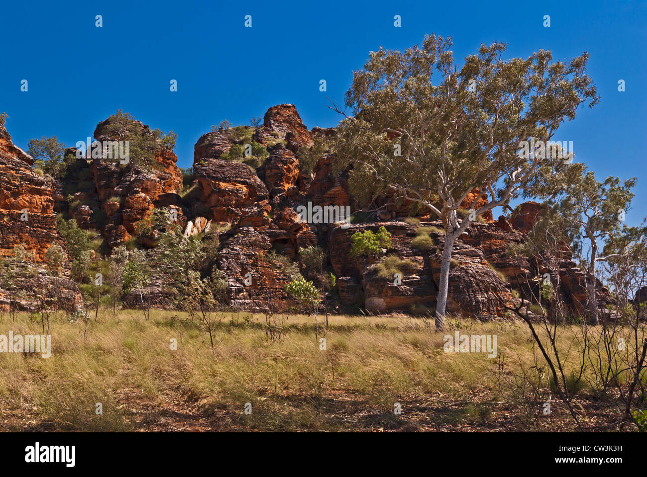 BUNGLE BUNGLE RANGE, PURNULULU NATIONAL PARK, WESTERN AUSTRALIA ...