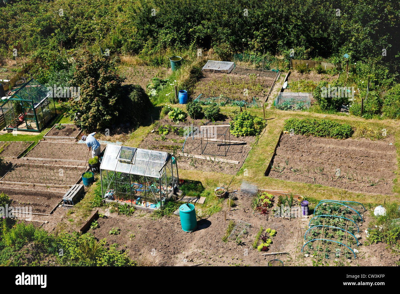 Allotment garden wales hi-res stock photography and images - Alamy