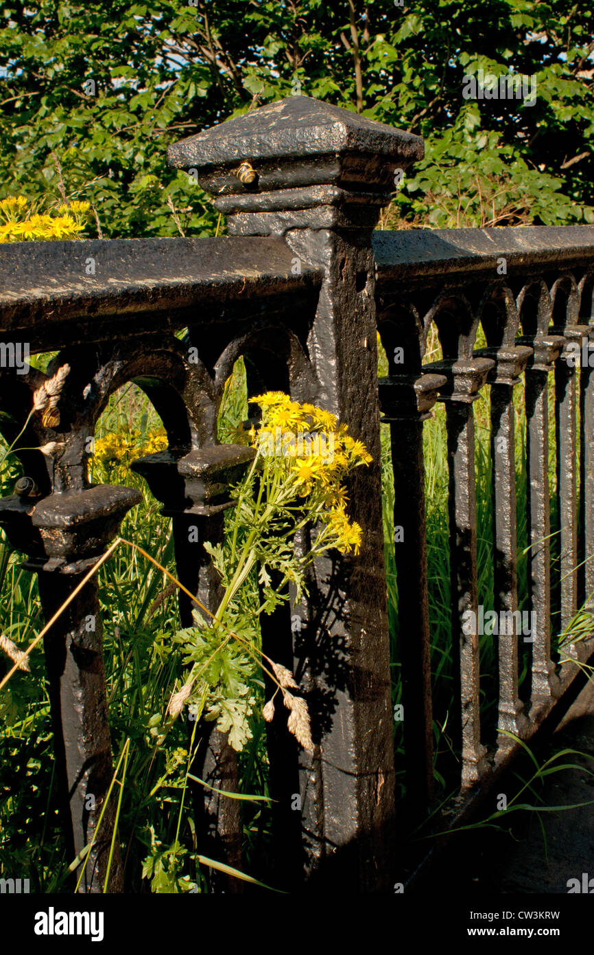 Yellow weeds growing through the railings at Saltaire train staion ...