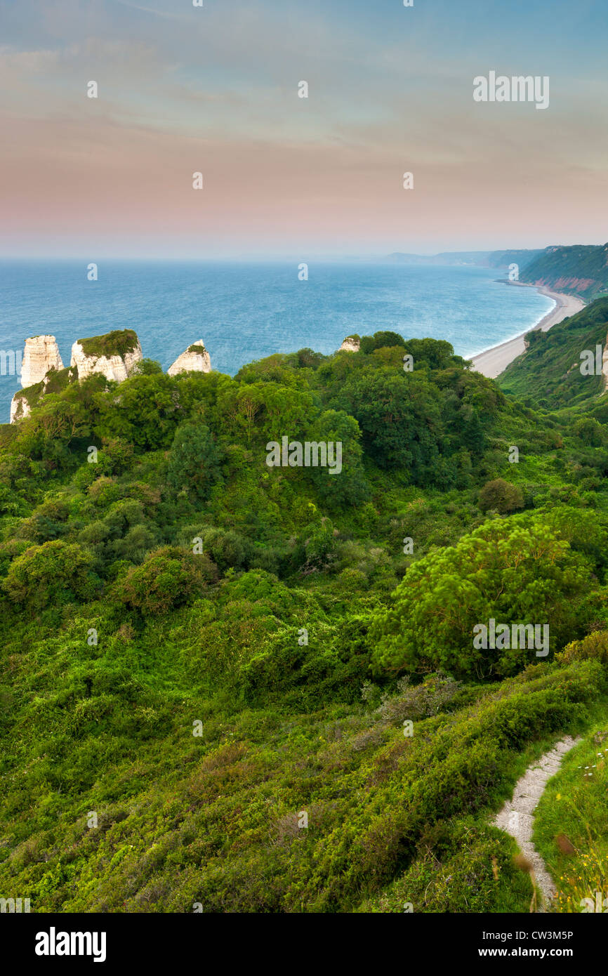 Lyme bay hi-res stock photography and images - Alamy