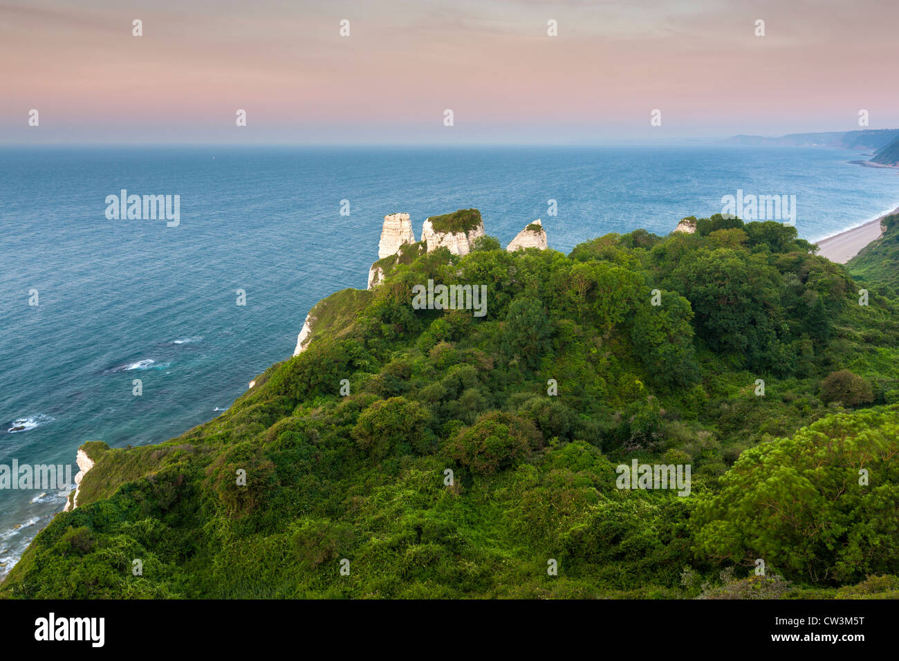 Hooken Cliffs, Lyme Bay, Jurassic Coast part of the South West Coastal ...