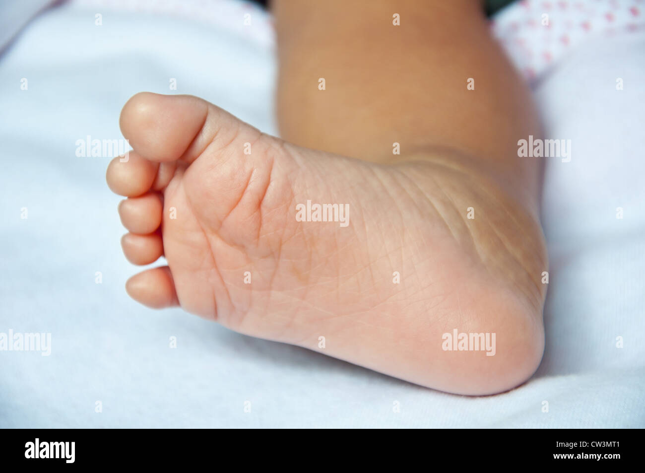 baby foot of new born Stock Photo - Alamy