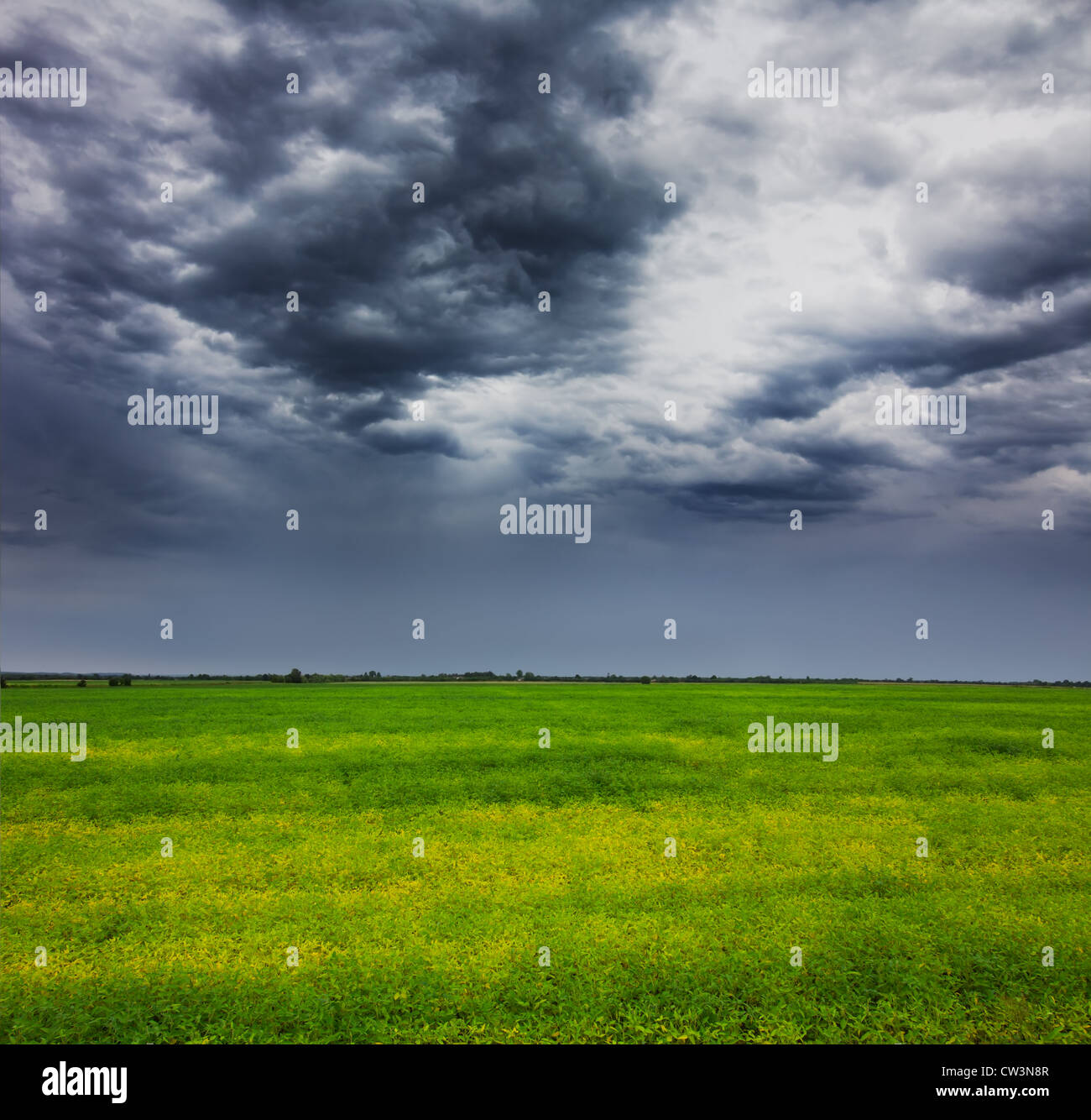 Black clouds over field landscape hi-res stock photography and images ...