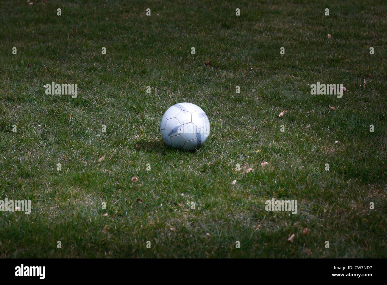A single football on a meadow at night Stock Photo - Alamy