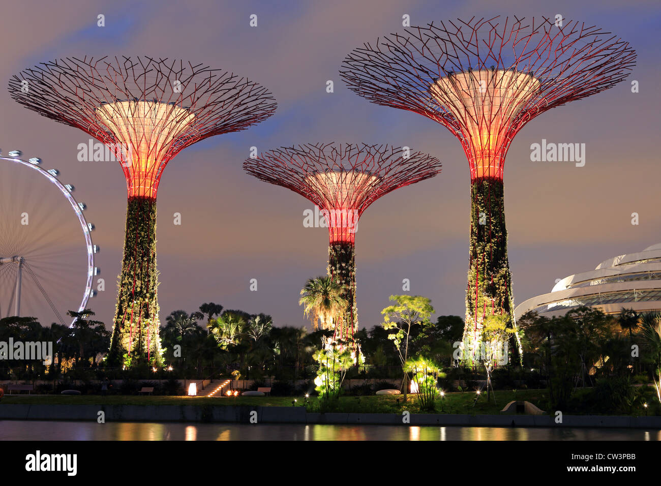 Illuminated Supertrees at Gardens By The Bay in Singapore, with ...
