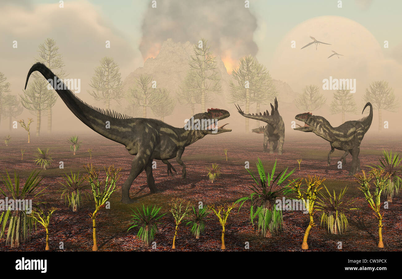 Allosaurus hi-res stock photography and images - Alamy