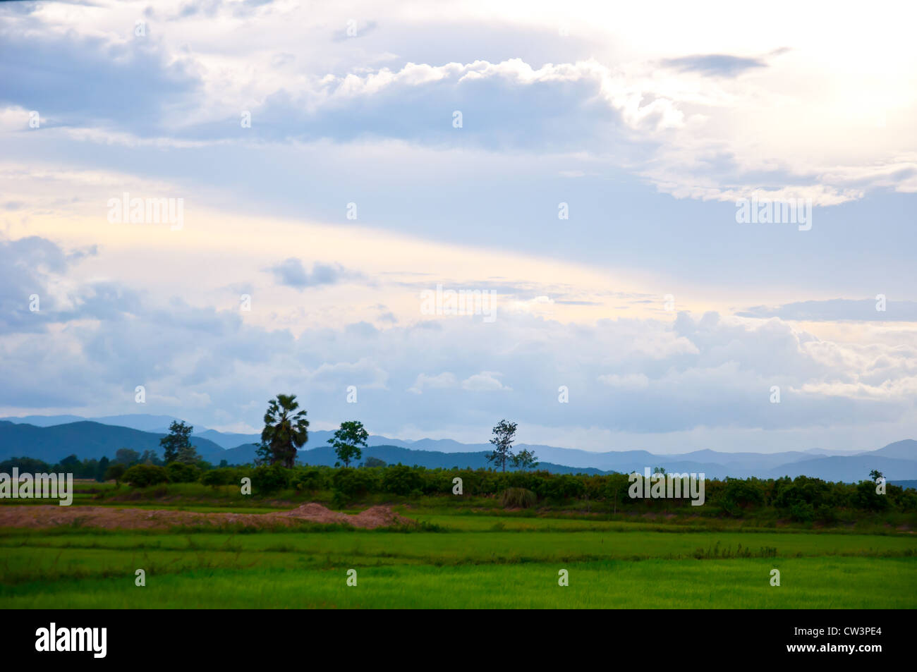 field and landscape in western of Thailand Stock Photo - Alamy