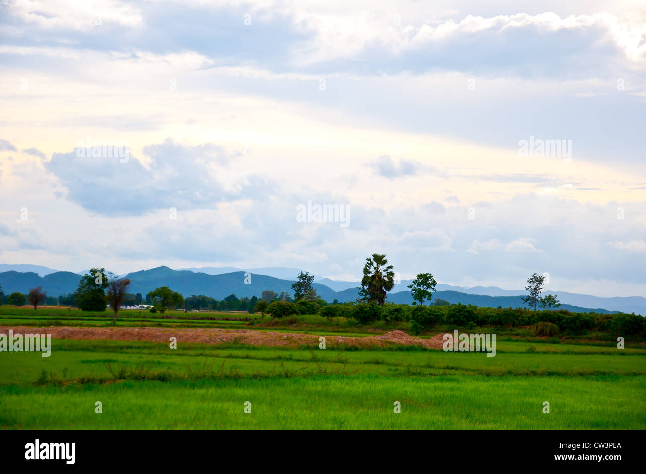 field and landscape in western of Thailand Stock Photo - Alamy