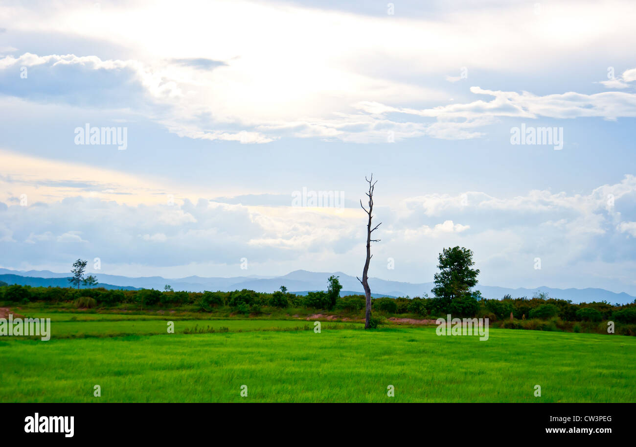field and landscape in western of Thailand Stock Photo - Alamy