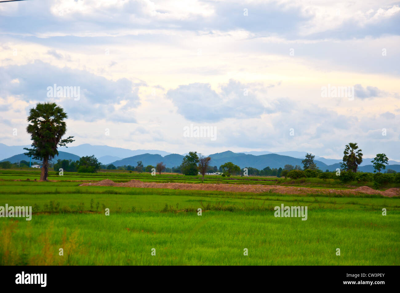 field and landscape in western of Thailand Stock Photo - Alamy
