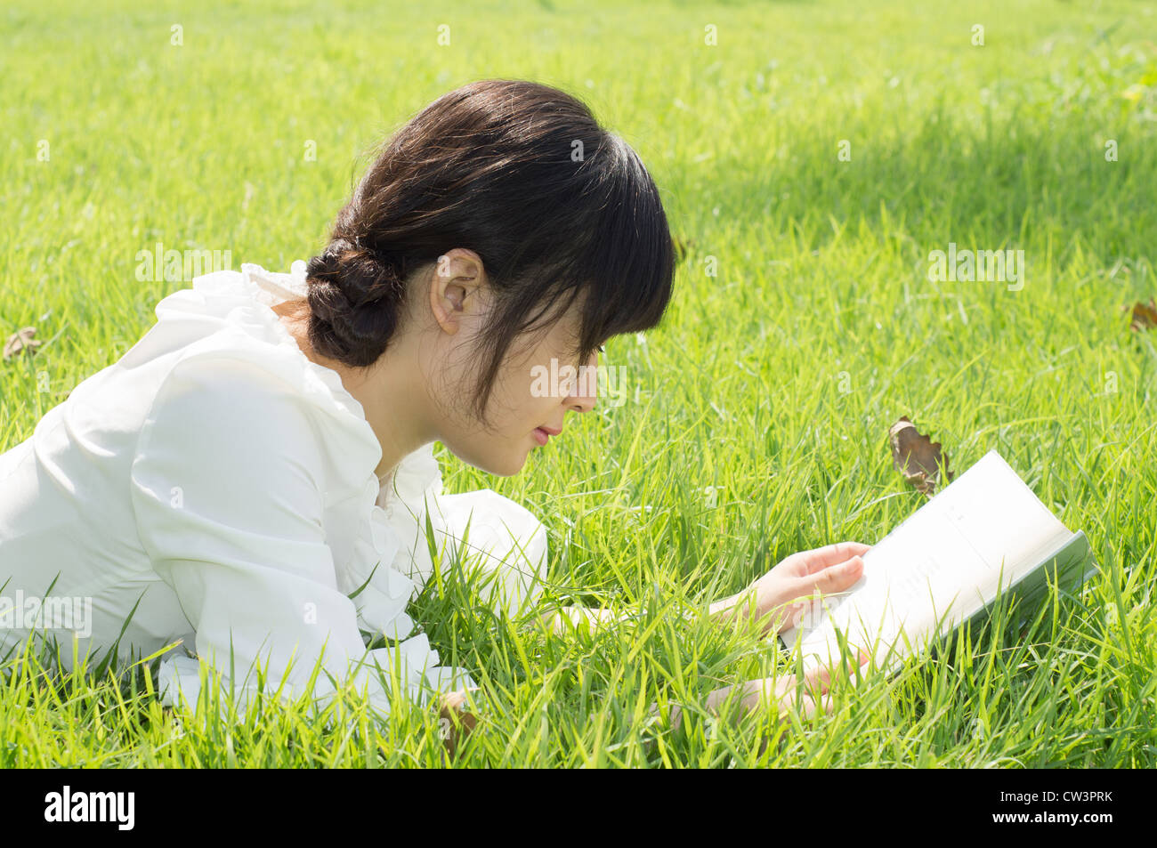 Beautiful young woman reading a book on nature Stock Photo - Alamy
