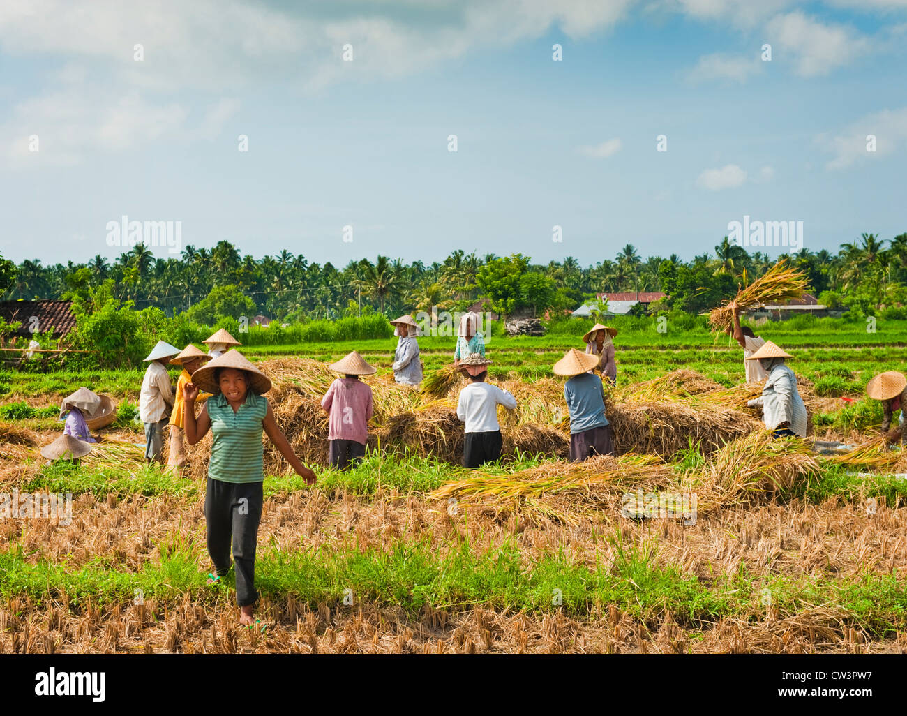 Hard backbreaking work hi-res stock photography and images - Alamy