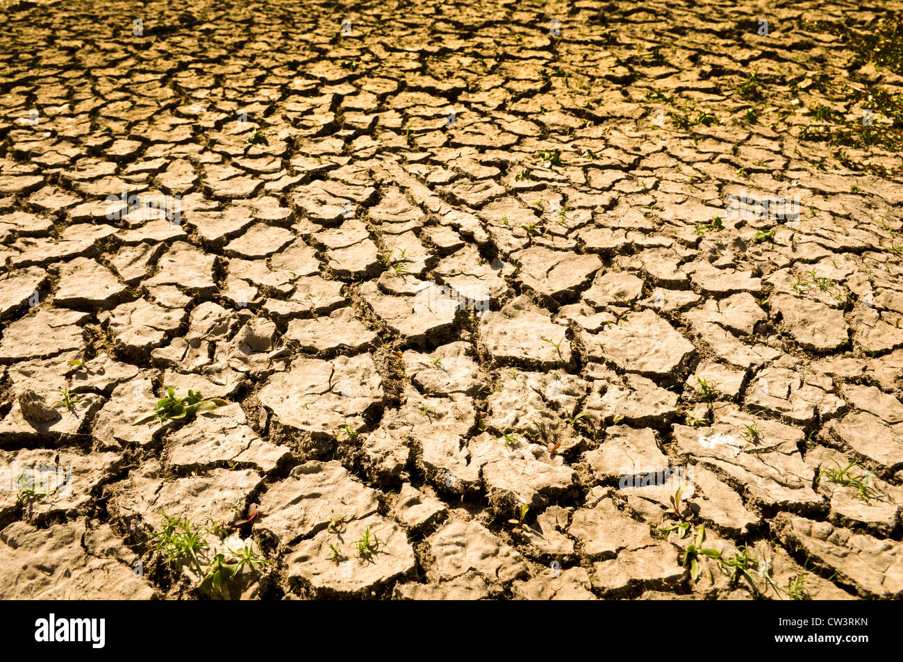 Cracked Ground Background Stock Photo - Alamy