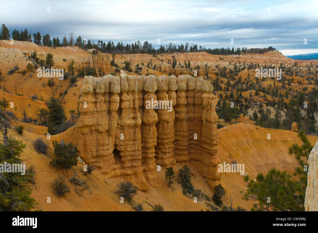 Image of the Amphitheater at Bryce National Park, just hours before ...