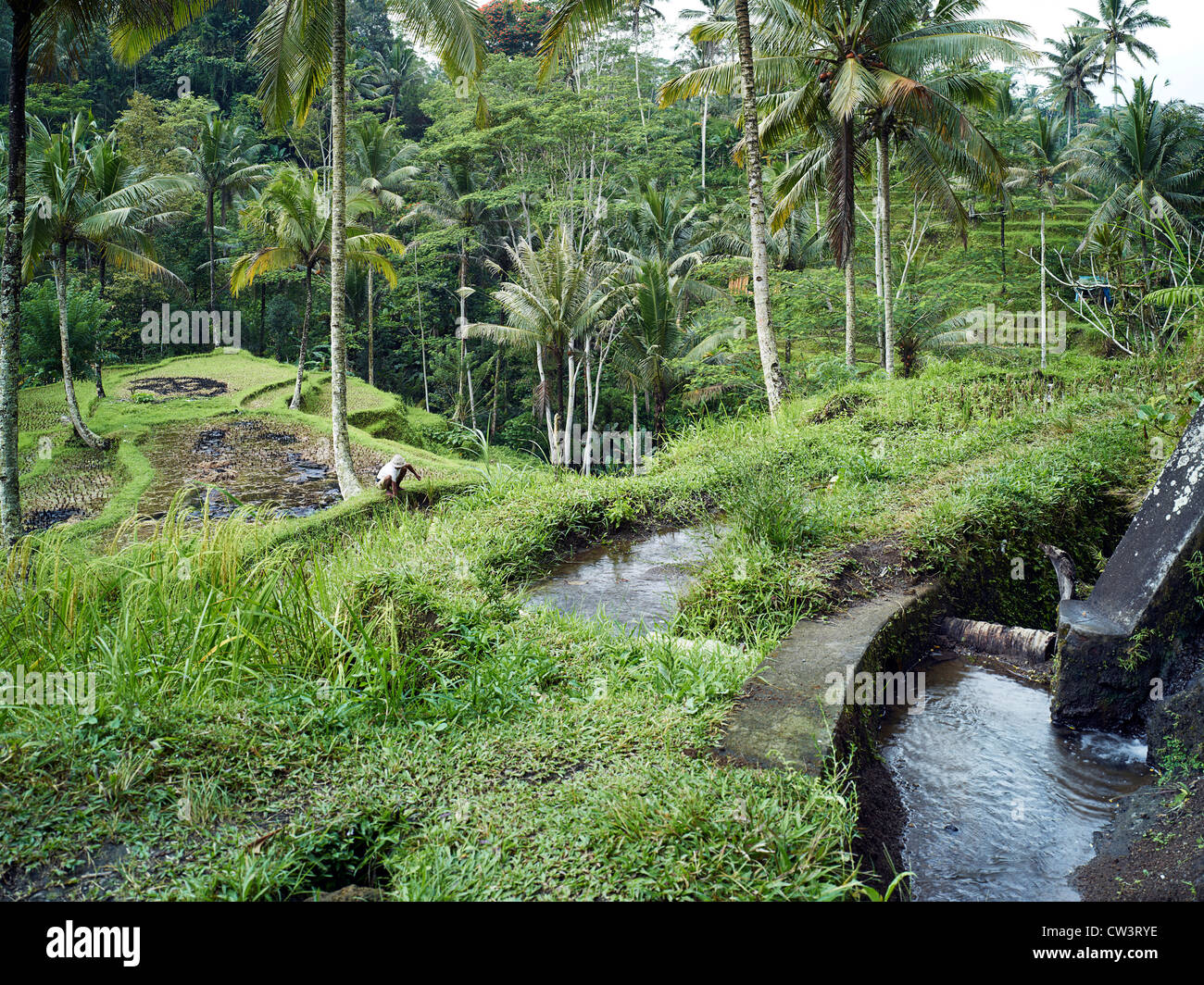 Tampak siring hi-res stock photography and images - Alamy
