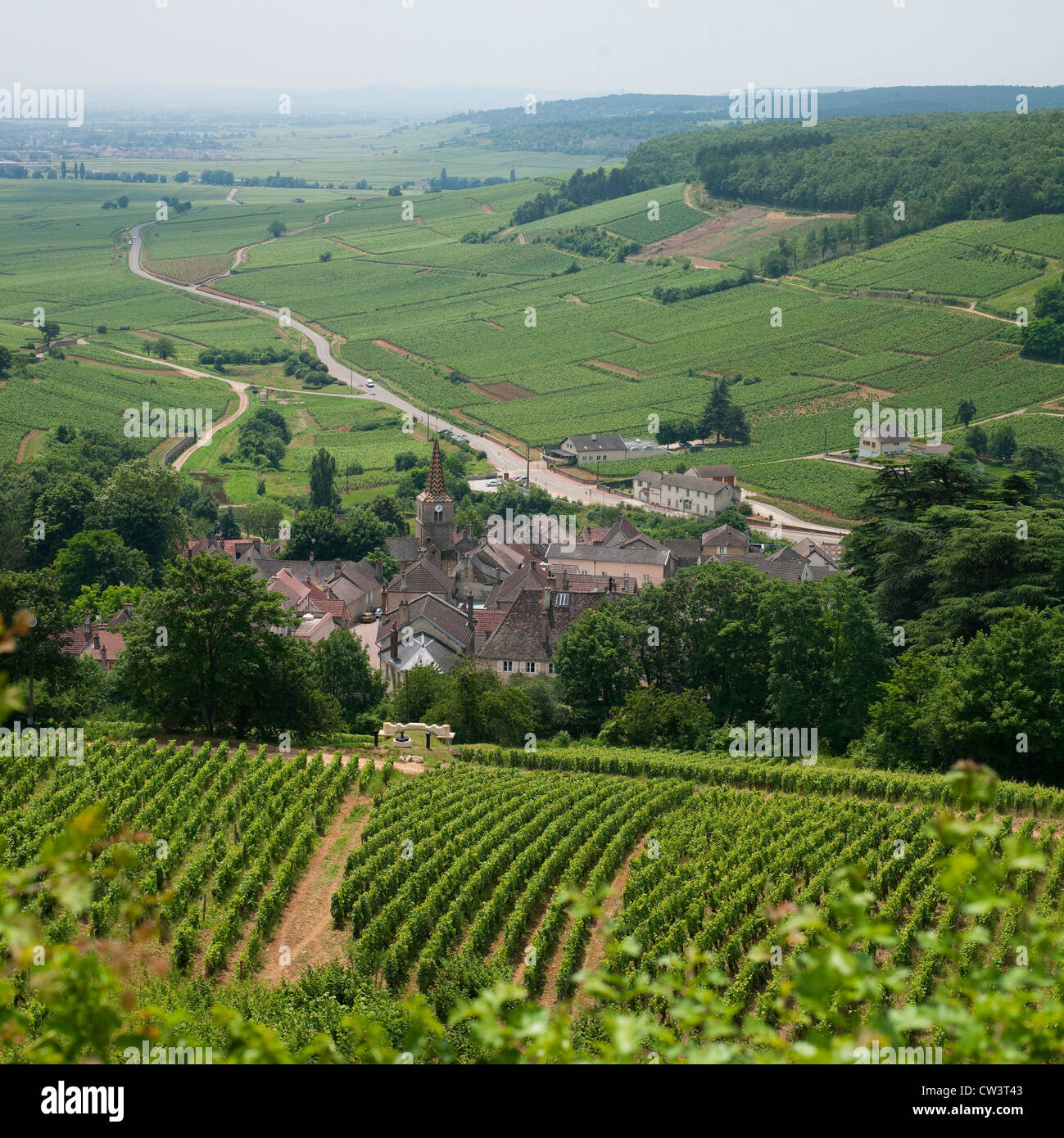 Vineyards surrounding the Burgundy village of Pernand Vergelesses ...
