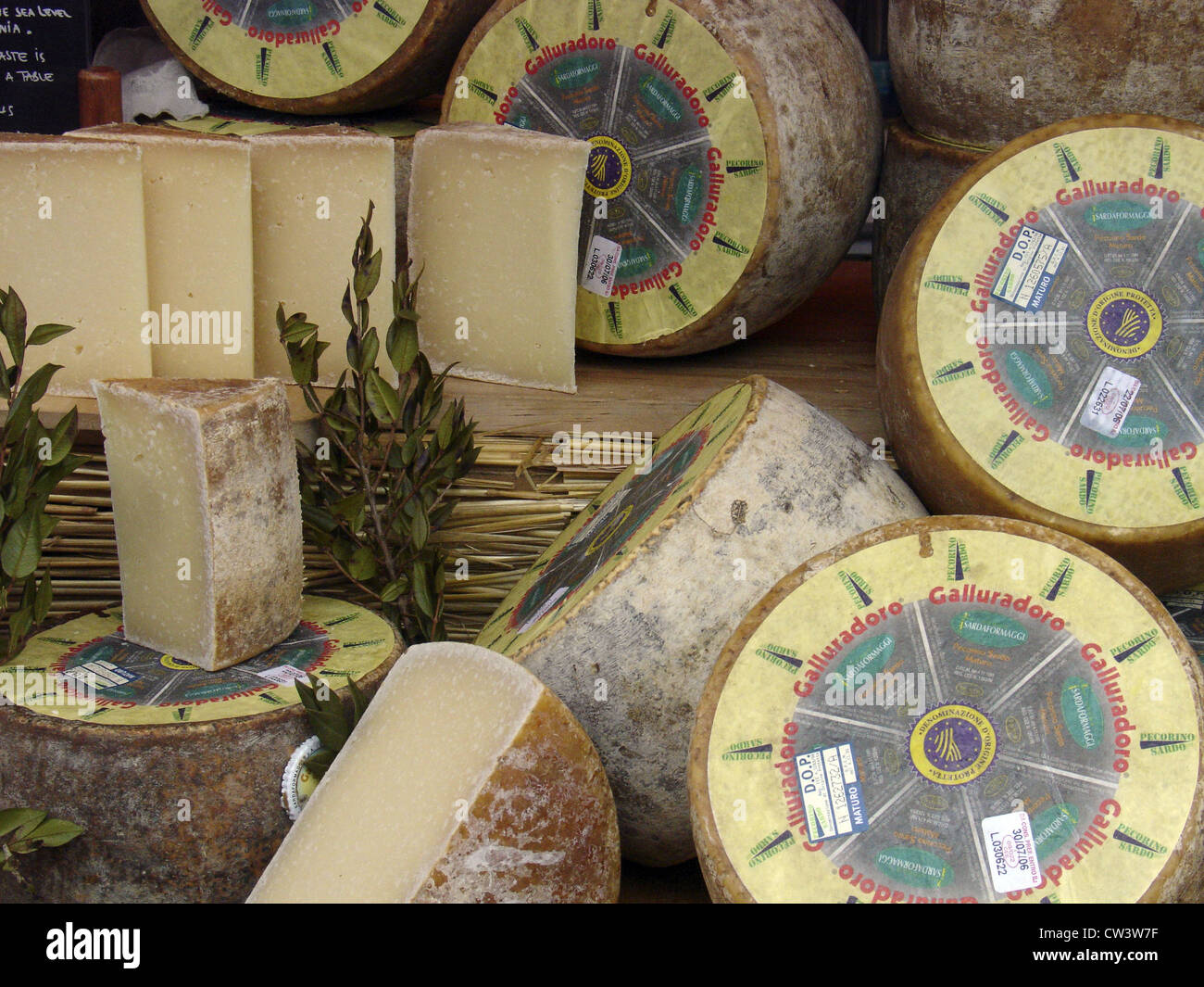 Wheels of Italian Galluradoro mature DOP Pecorino Sardo cheese made ...