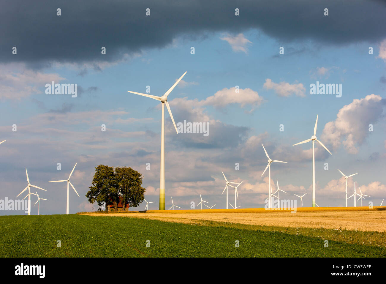 Wind turbines, wind power park, alternative energy production. Meerhof ...