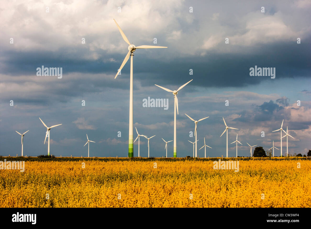 Wind turbines, wind power park, alternative energy production. Meerhof ...