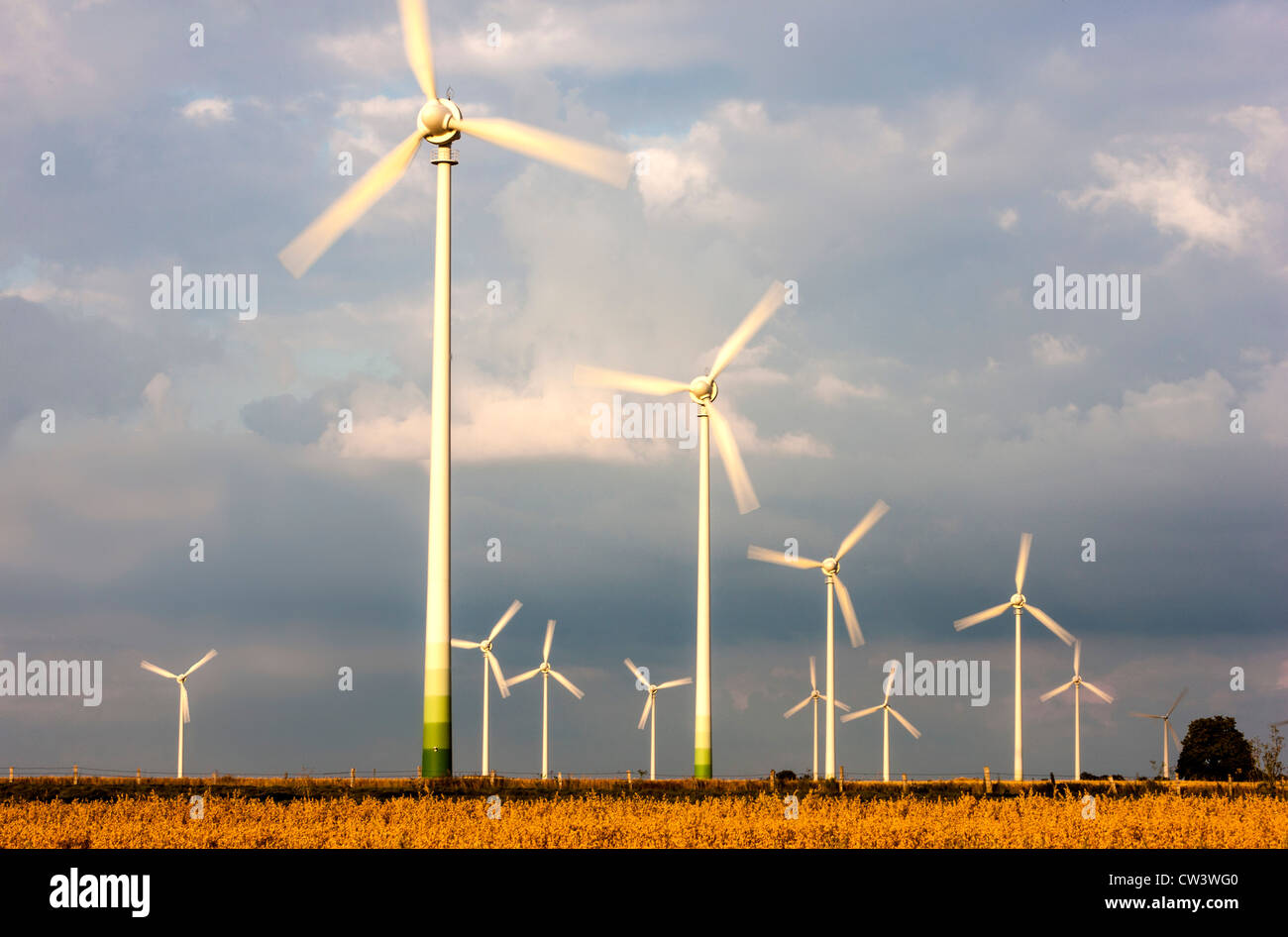 Wind turbines, wind power park, alternative energy production. Meerhof ...