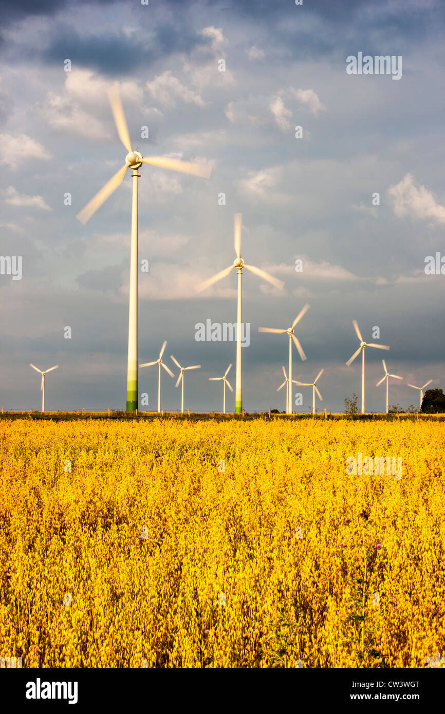 Wind turbines, wind power park, alternative energy production. Meerhof ...