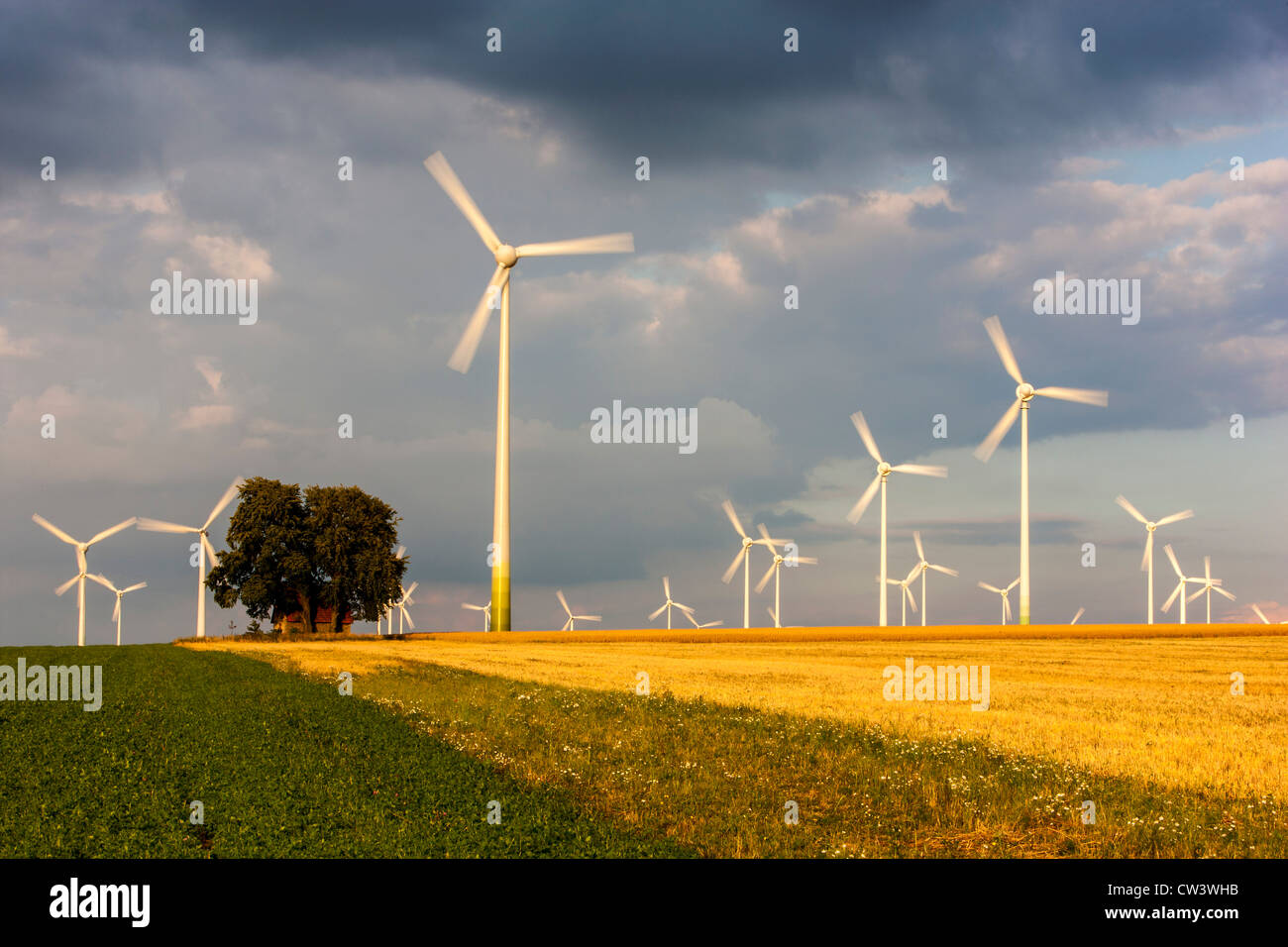 Wind turbines, wind power park, alternative energy production. Meerhof ...