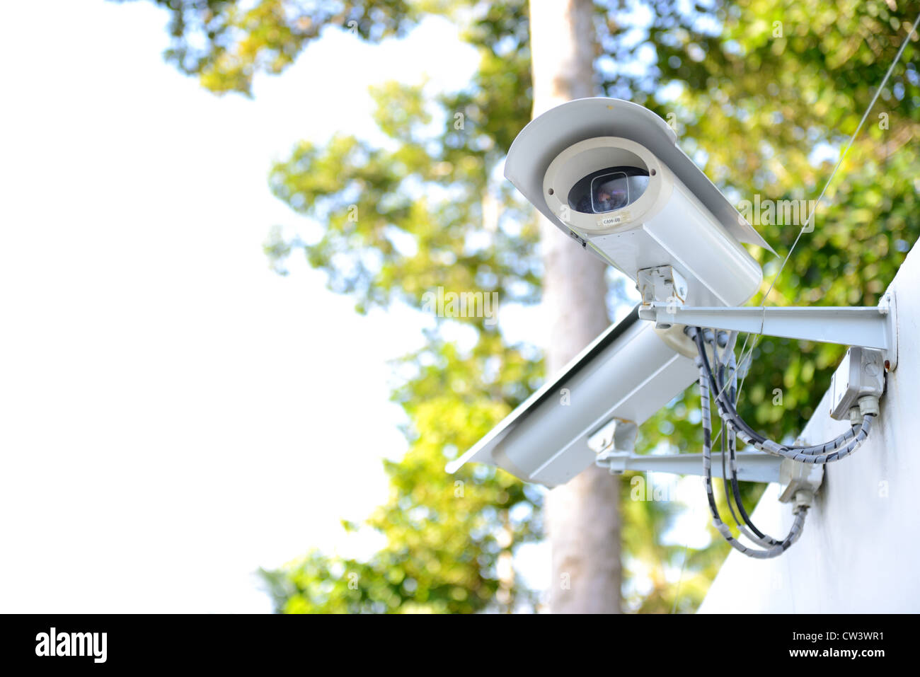 security camera on the fence next to the jungle Stock Photo - Alamy