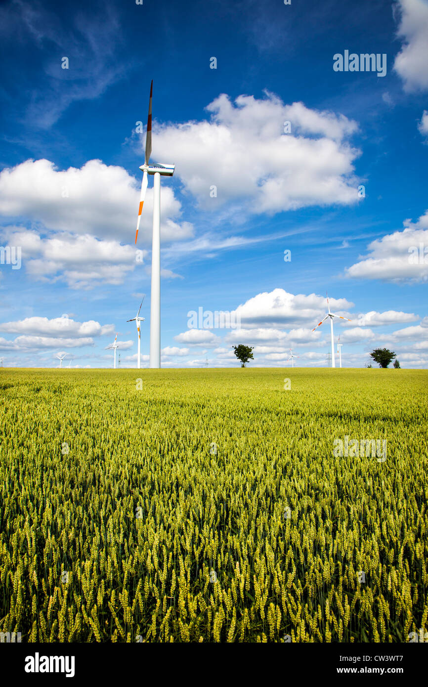 Wind turbines, wind power park, alternative energy production. Meerhof ...