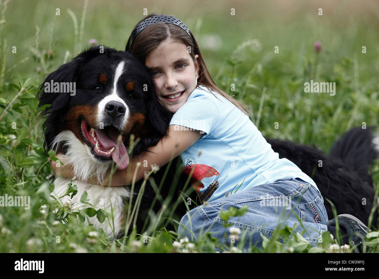 Girls cuddling a Bernese Mountain Dog on a meadow Stock Photo - Alamy