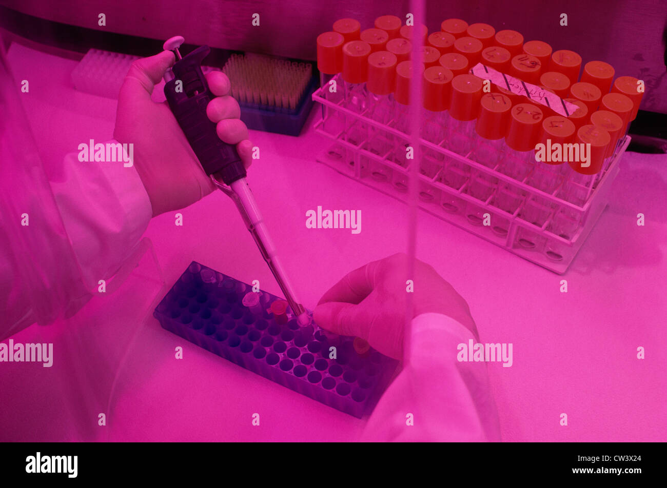 Researcher's hand using a pipette Stock Photo - Alamy